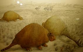 Doedicurus | SurprisingAnimals